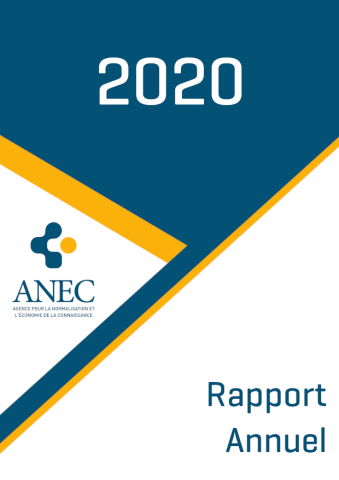 Publication du rapport annuel 2020 du GIE ANEC - Actualités - Portail ...